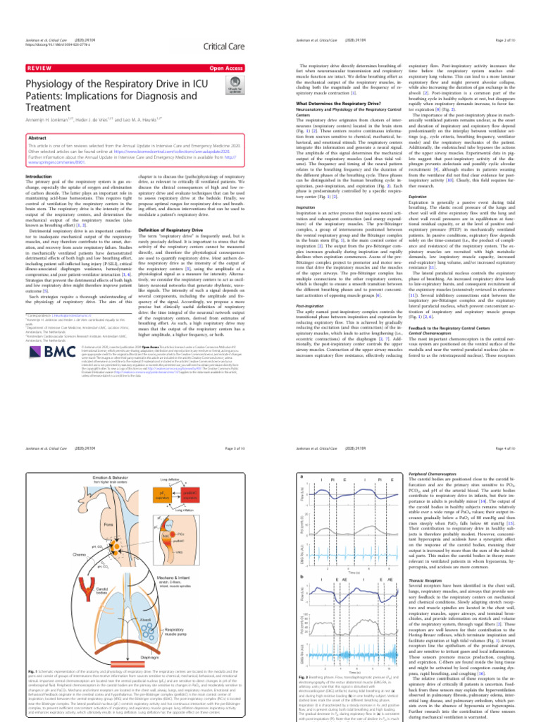 Respiratory Drive in ICU Patients | PDF | Respiratory System | Exhalation