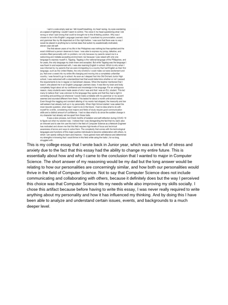 Literary Artifacts Description | PDF | English Language | Essays