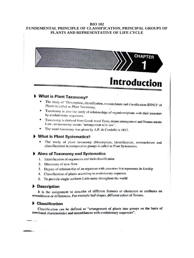 Bio 102 Classification 2 | PDF | Plants | Plant Reproduction