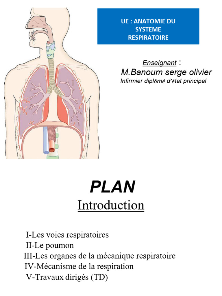 Anatomie du Système Respiratoire | PDF | Système respiratoire | Poumon