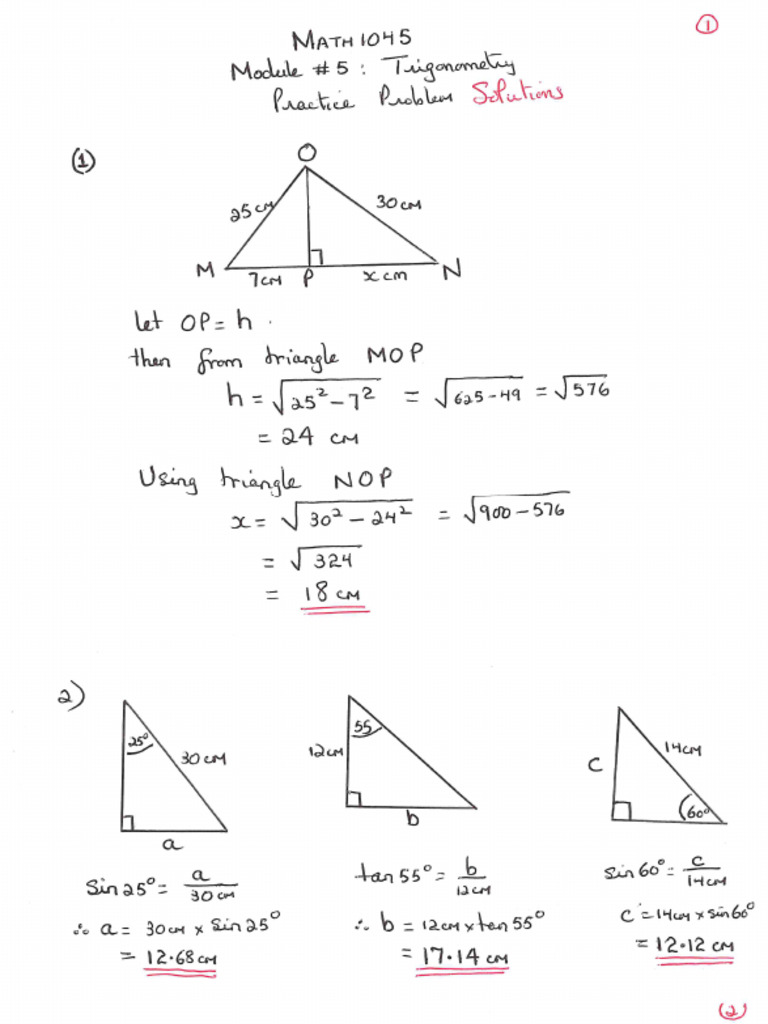 MATH1045 Module #5 Practice Problem Solutions | PDF