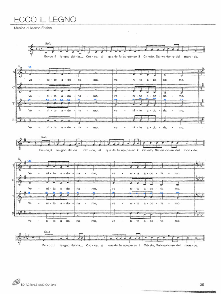 Ecco Il Legno M.frisina | PDF
