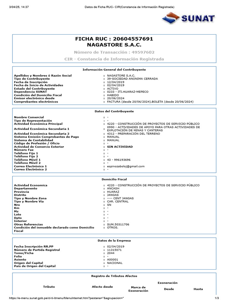 1. FICHA RUC NAGASTORE | PDF