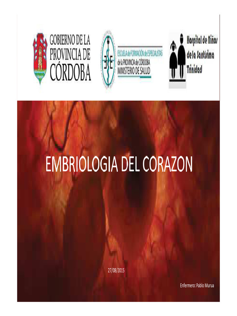 Embriologia Del Corazon II | PDF