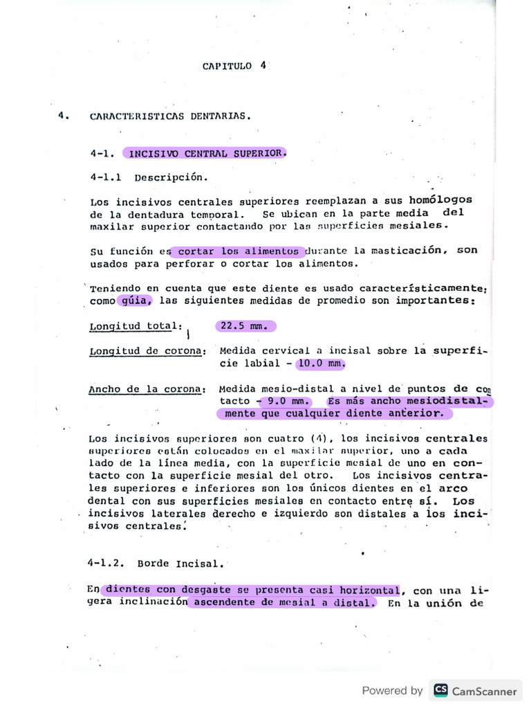 Anatomia Dental (Editado) | PDF