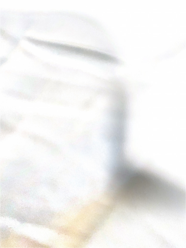 Scanned Document | PDF