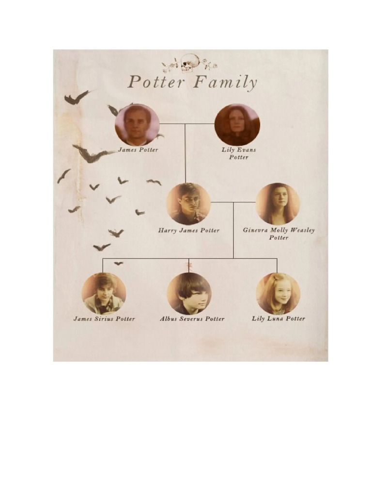 Potter Family | PDF