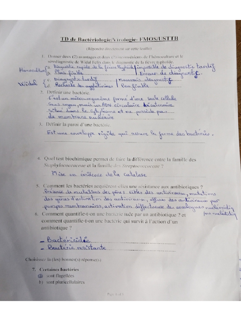 Bacterio Corrig | PDF