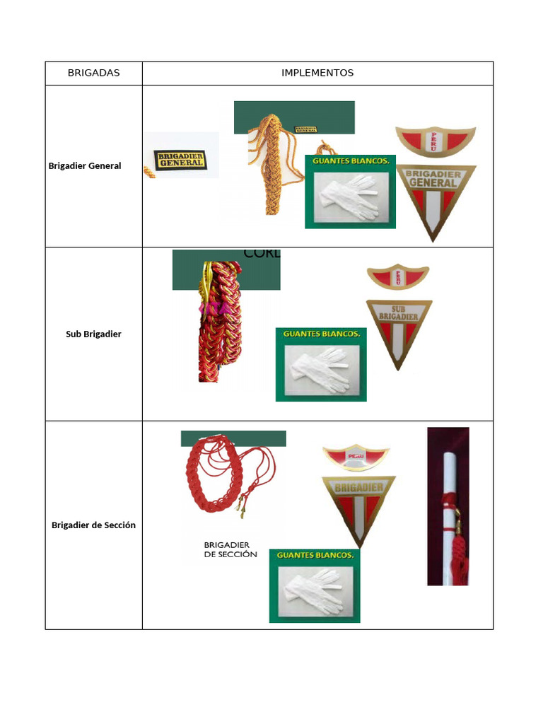 Implementos y Tipos de Brigadieres Escolares | PDF