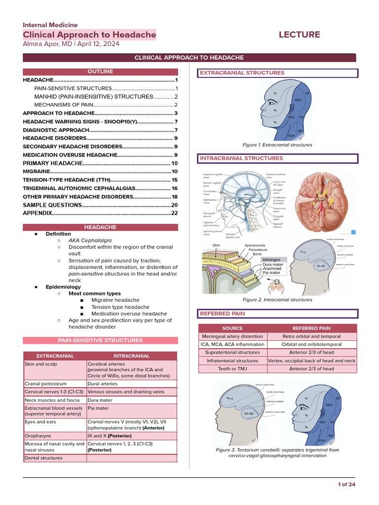 SNOOP10: Headache Warning Signs | PDF | Headache | Vein