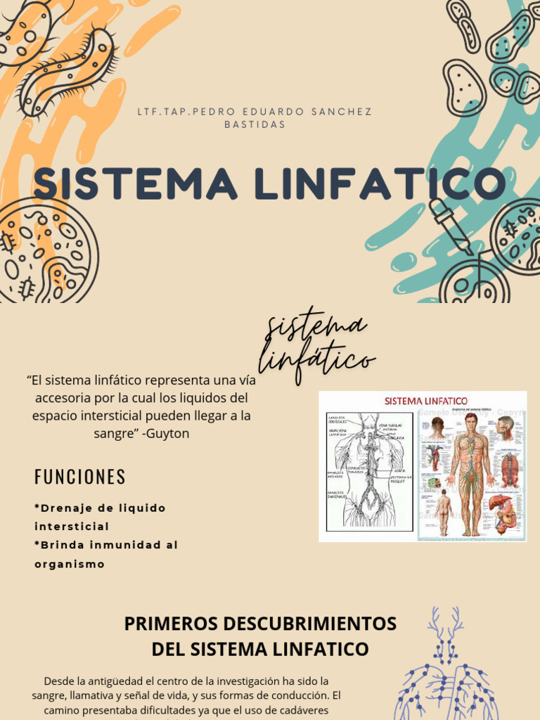 Sistema Linfatico DLM | PDF | Sistema linfático | Sistema inmune