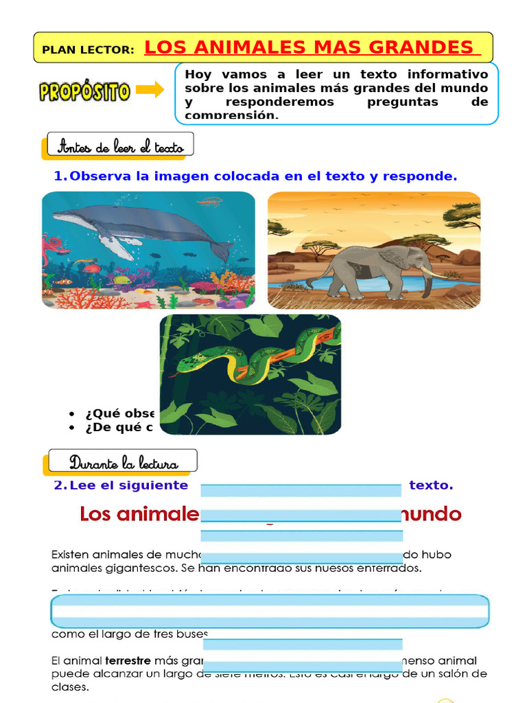 U6 S5 Ficha D4 Plan Lector Los Animales Mas Grandes Del Mundo 998591174 ...