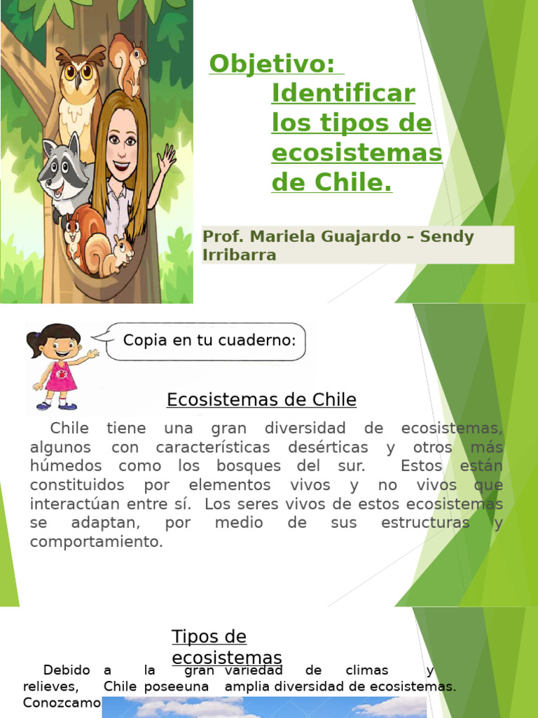 Tipos de Ecosistemas en Chile | PDF | Desierto | Chile