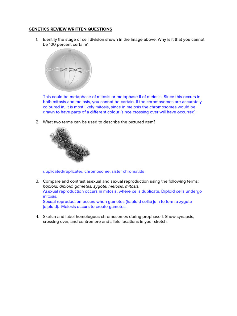 Genetics Test Review Answer Key | PDF | Meiosis | Mitosis