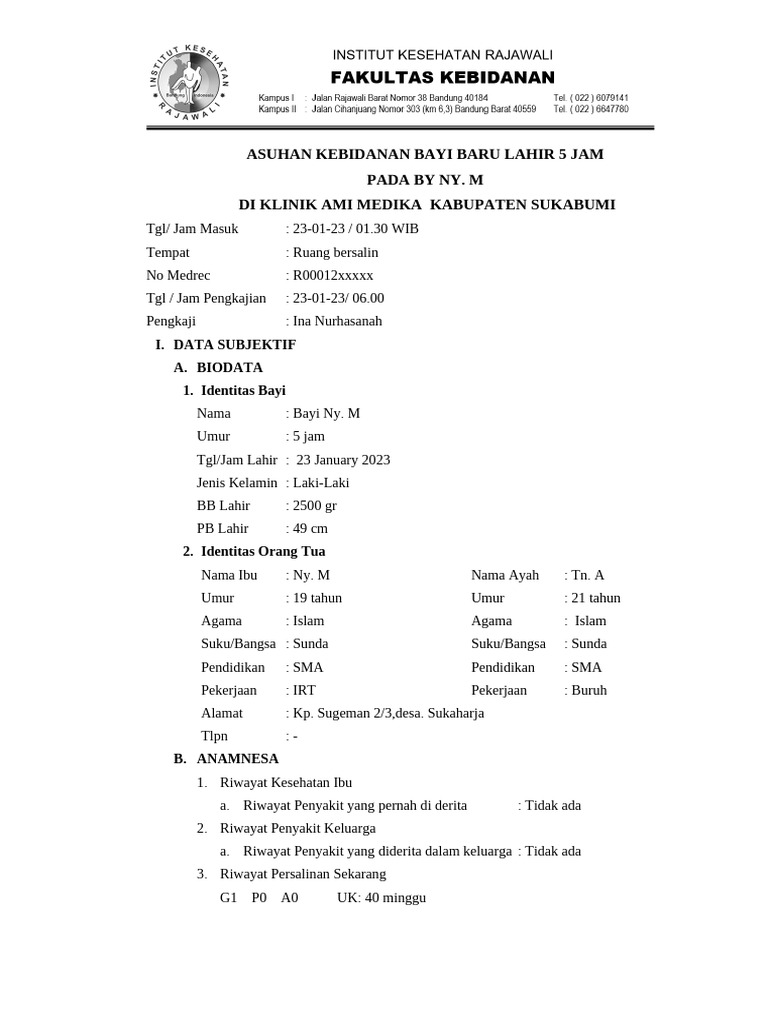 12.Soap BBL ( Ina Nurhasanah_H522161) | PDF