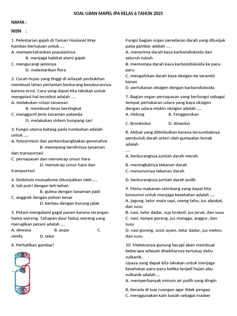 Soal Ujian Mapel Ipa Kelas 6 Tahun 2025 | PDF