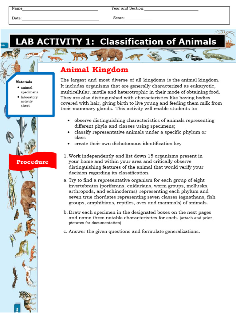 LAB ACTIVITY 1 Classification of Animals | PDF | Invertebrate | Organisms