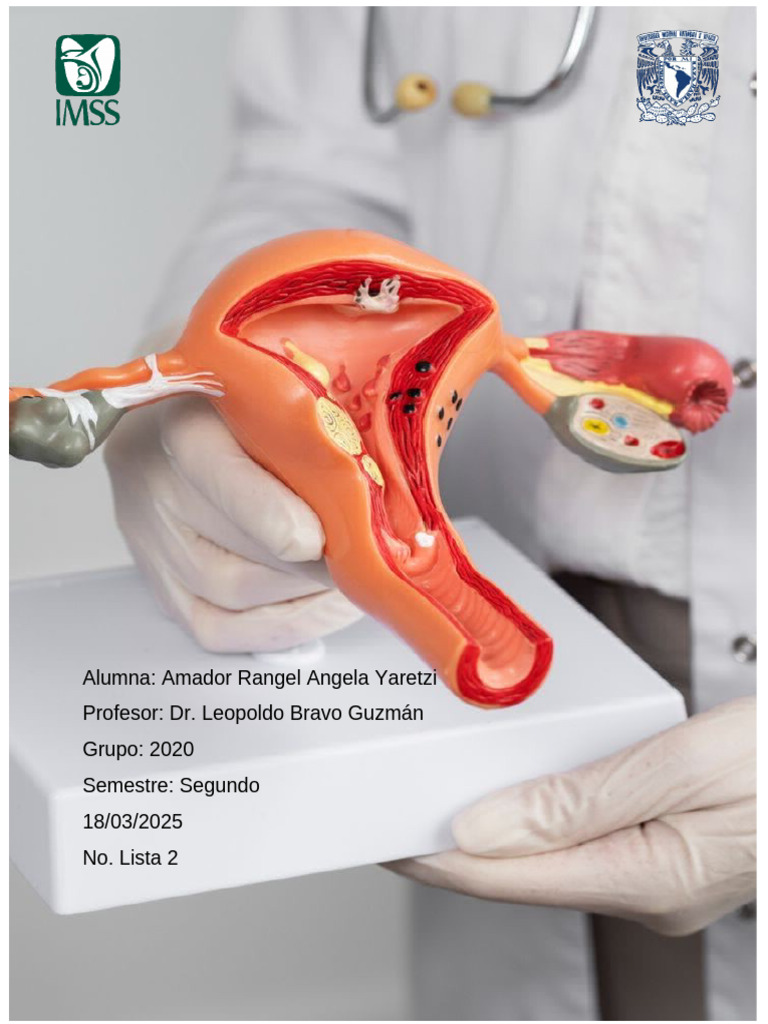 Los Órganos Internos de La Mujer Amador Rangel Angela Yaretzi NL2 | PDF | Vagina | Útero