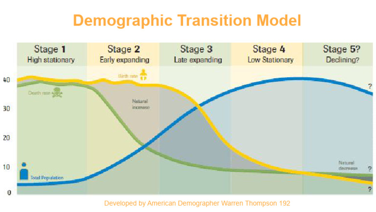 Demographic Transition Model | PDF