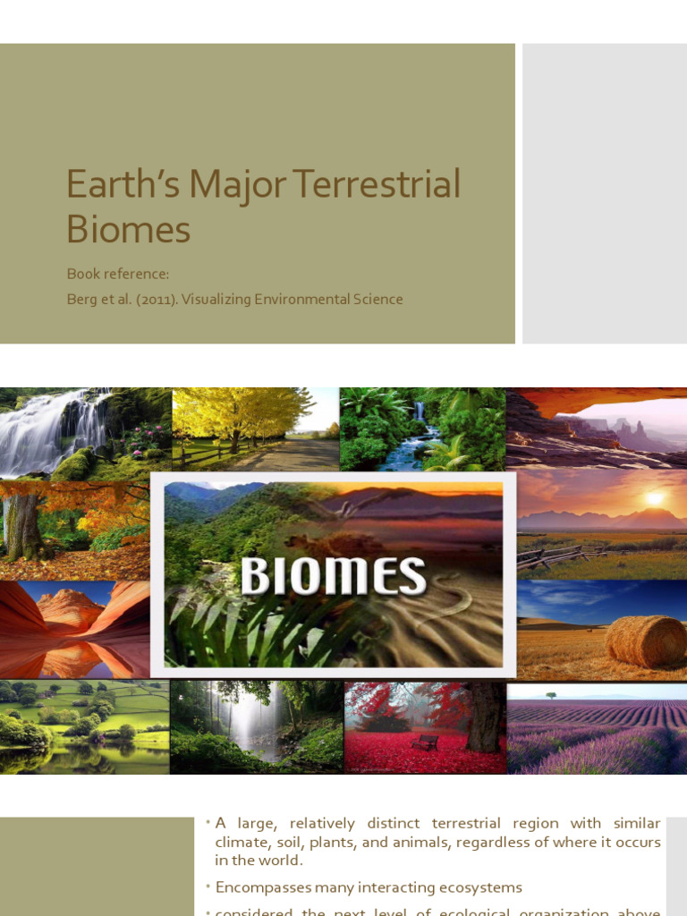 EGE 311 Module 1 Lesson 3 Ecosystems - Terrestrial | PDF | Grassland | Rainforest
