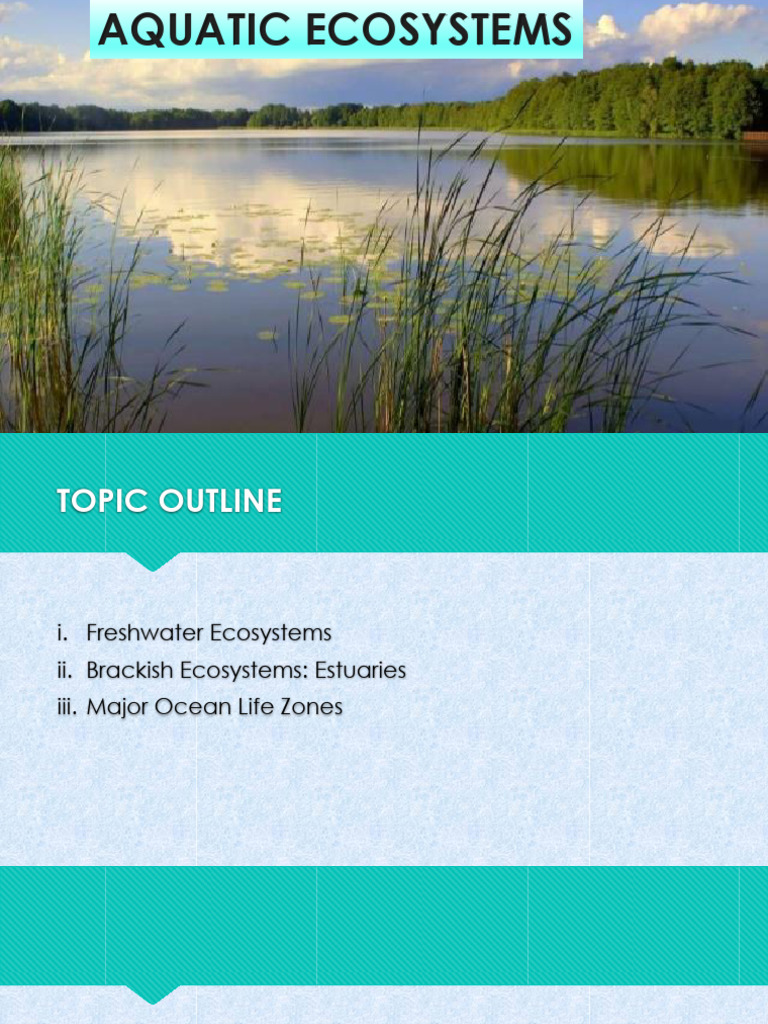 Overview of Aquatic Ecosystems | PDF | Coral Reef | Coast