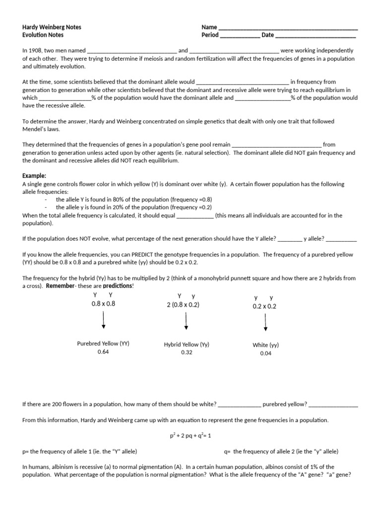 138 medBIO Hardy Weinberg Notes | PDF | Allele | Evolutionary Biology