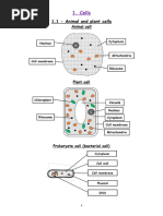 Year 7 Cells Revision Worksheets | PDF | Vacuole | Cell (Biology)