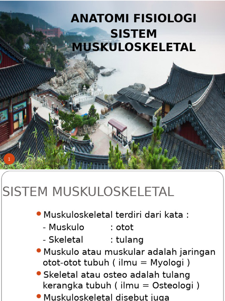 Anatomi Fisiologi Muskuloskeletal-1 | PDF