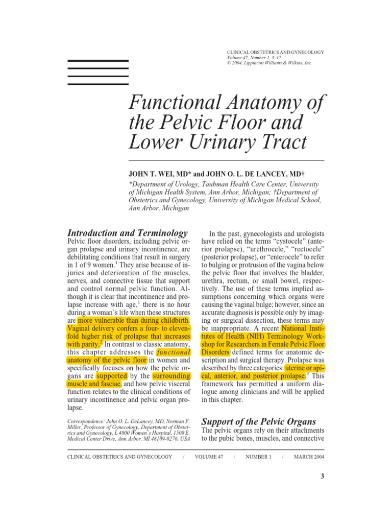 DE LANCEY, Functinal Anatomy | PDF | Vagina | Pelvis