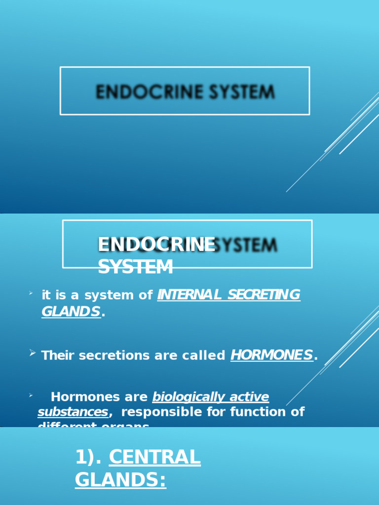 Overview of the Endocrine System | PDF
