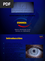 Anatomia e Histologia de La Cornea | PDF | Córnea | Epitelio