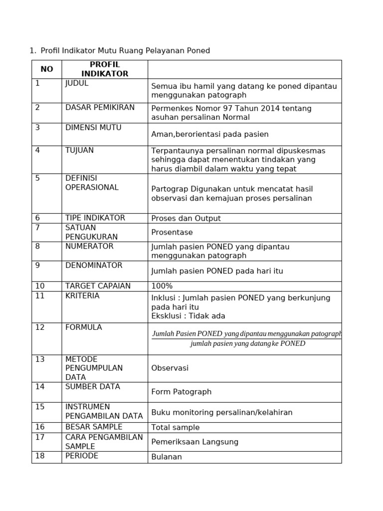 Profil Indikator Mutu Ruang Pelayanan Poned 2025 | PDF