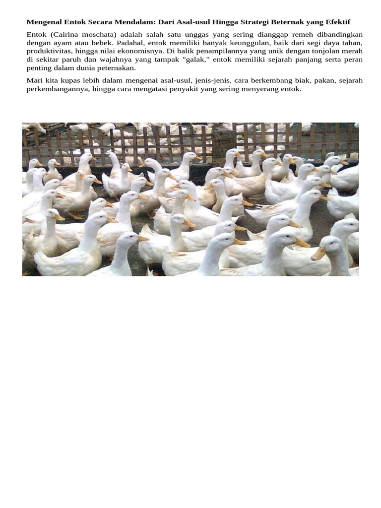 Mengenal Entok Secara Mendalam | PDF