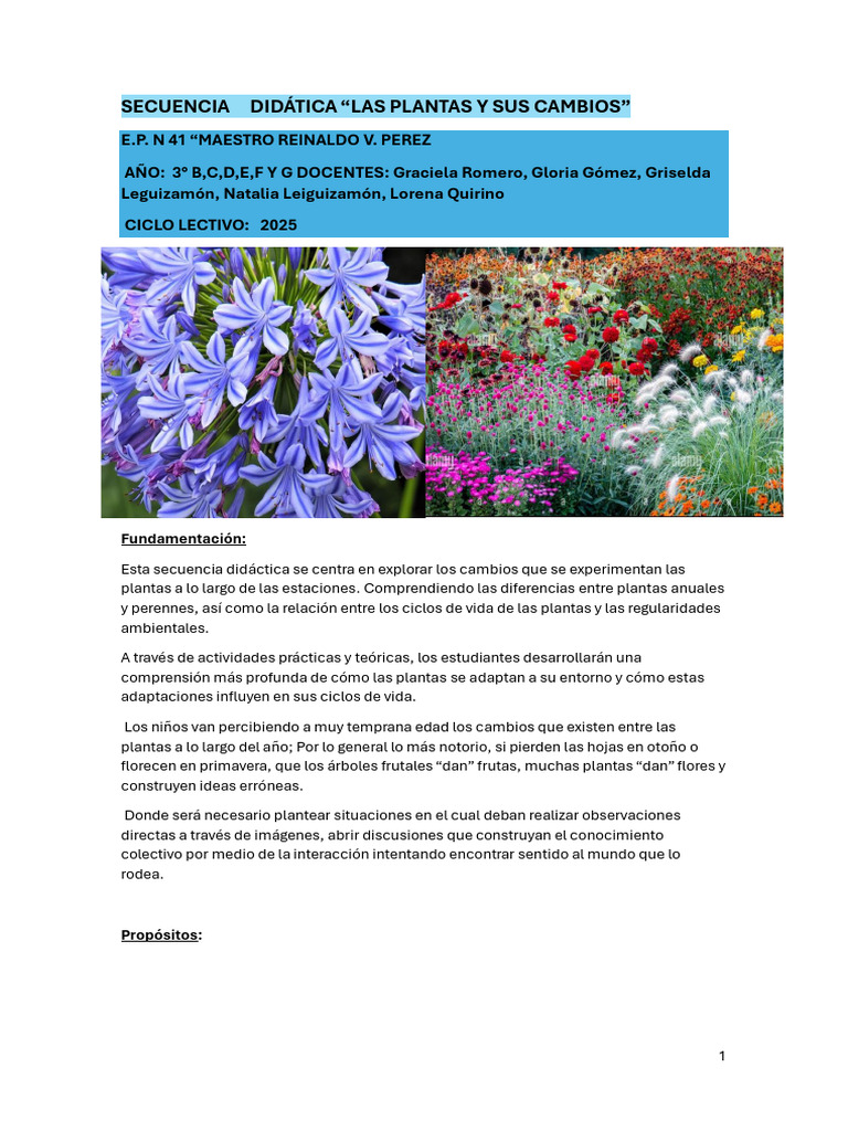 Cambios en las Plantas para Niños | PDF | Plantas | Arboles