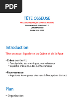Anatomie et Fractures du Rocher | PDF | Tête et cou chez l'humain ...