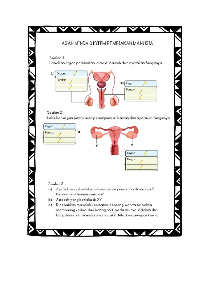 WS Tambahan Organ Pembiakan | PDF