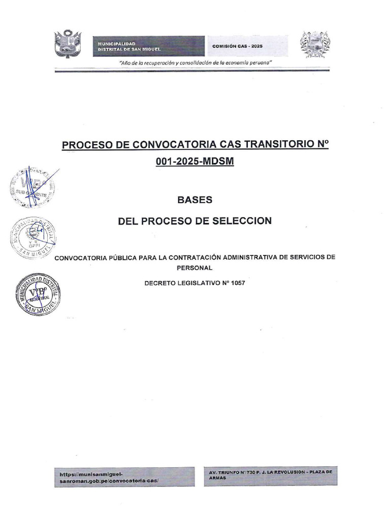 Bases Proceso 2025 (1) | PDF