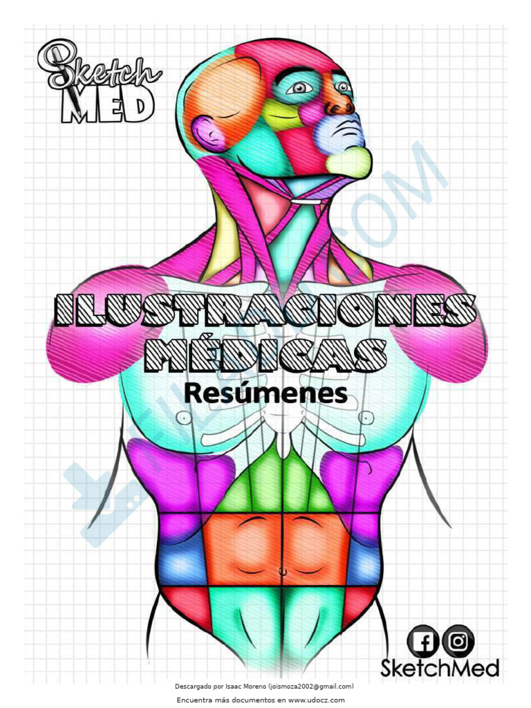Ilustraciones Médicas Sketchmed Uleam | PDF