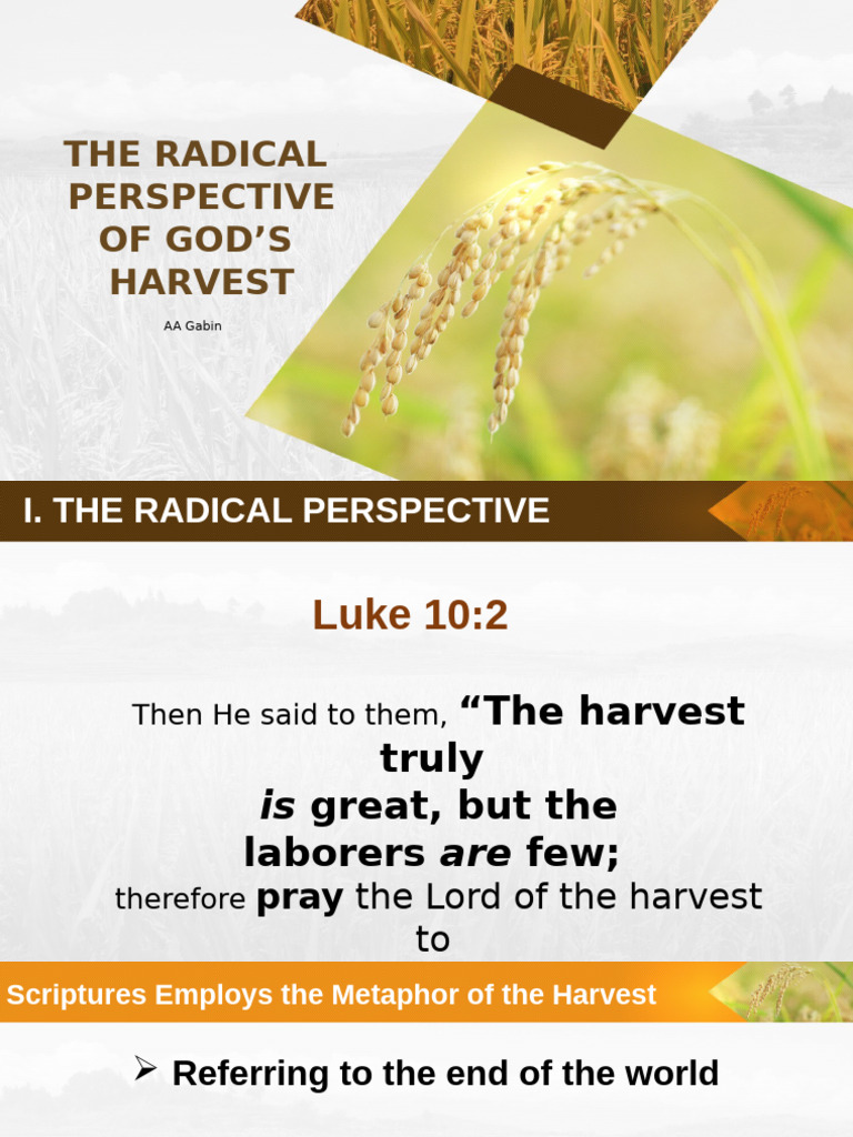 1 The-Radical-Perspective | PDF | Prayer | Jesus