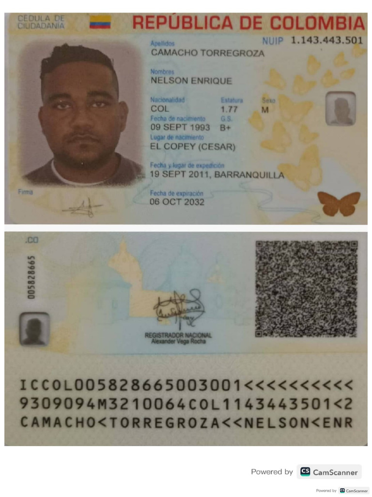 Cédula Nelson | PDF