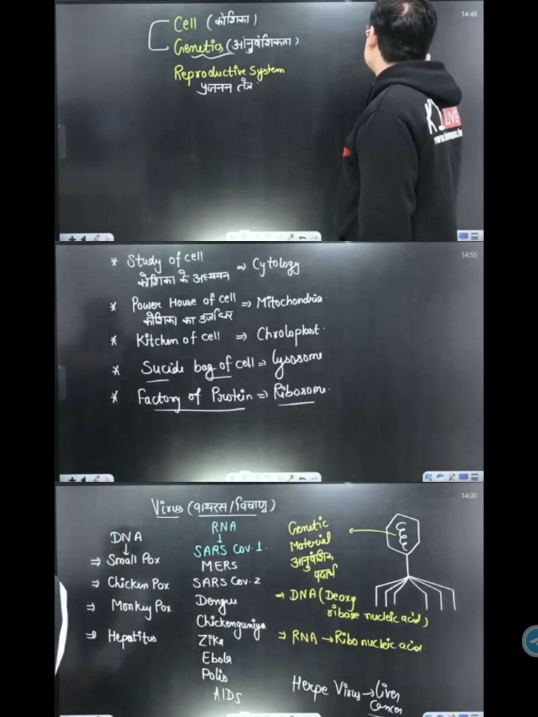 Cells and Genetics | PDF