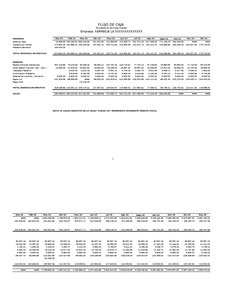 Modelo Flujo de Caja | PDF