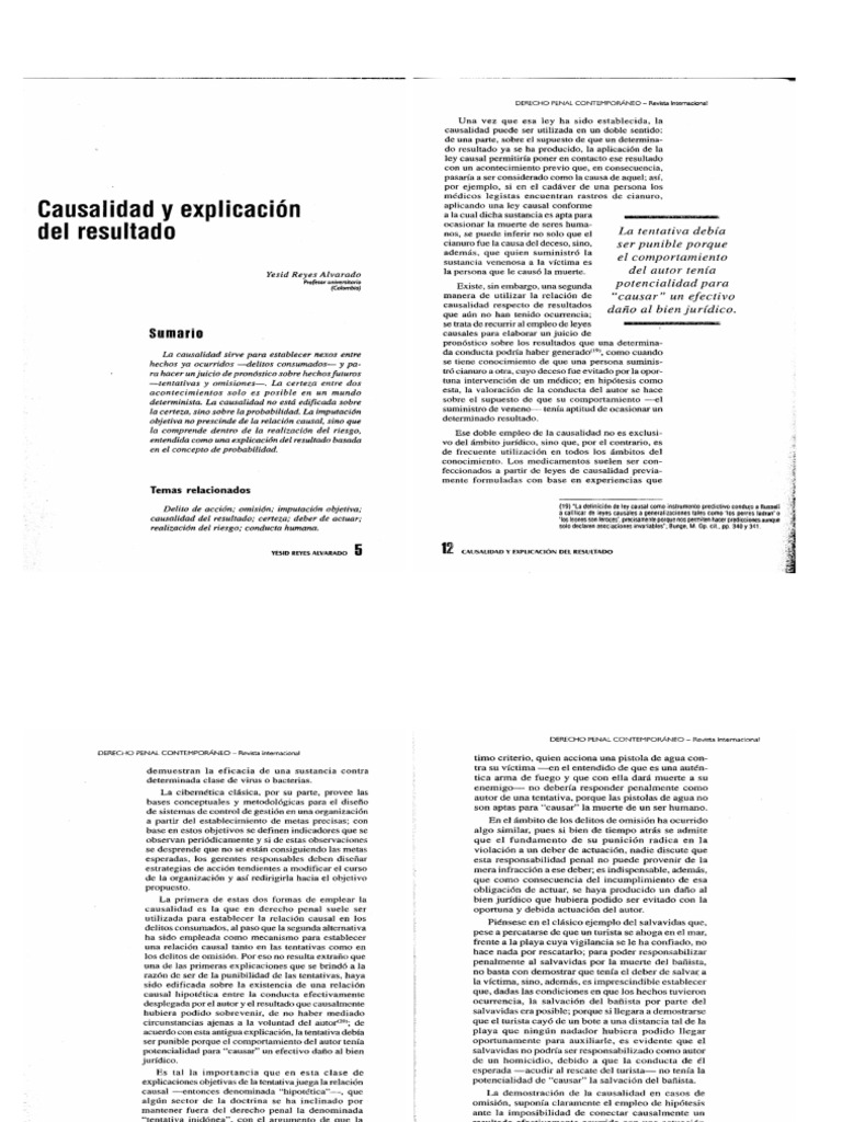 Reyes Alvarado, Yesid. Causalidad | PDF