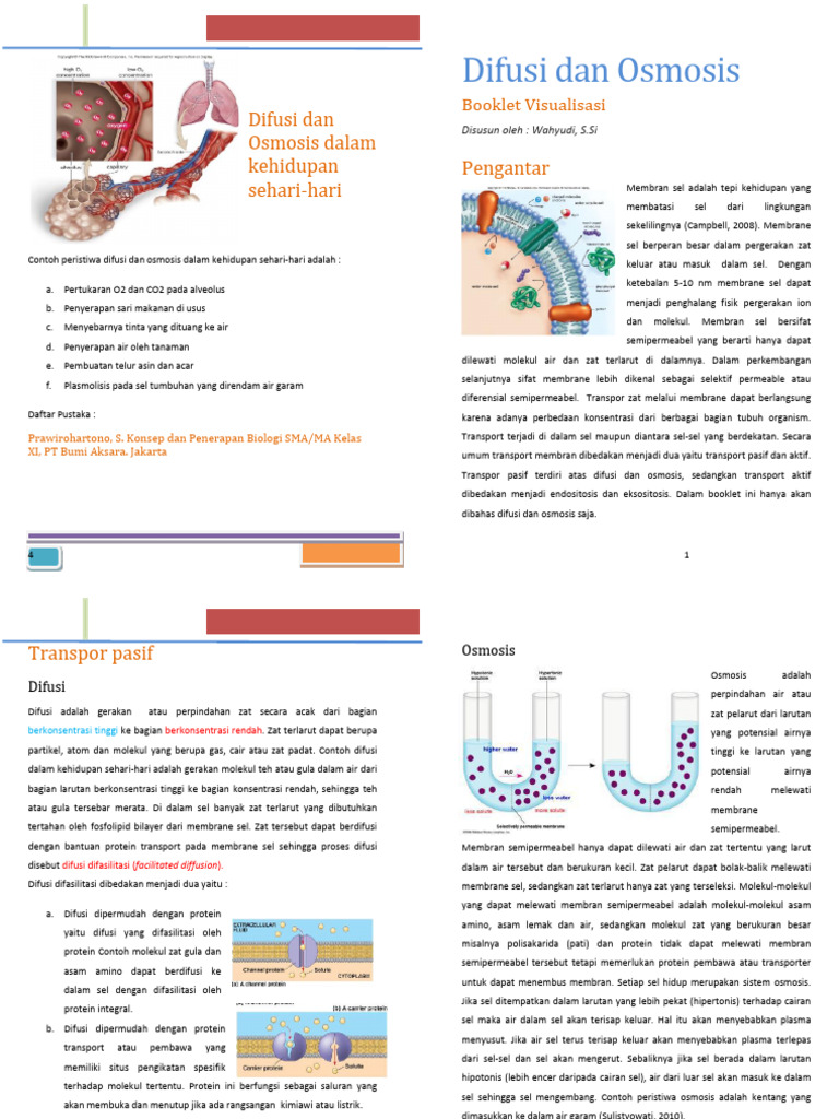 Contoh Difusi dan Osmosis Sehari-hari | PDF