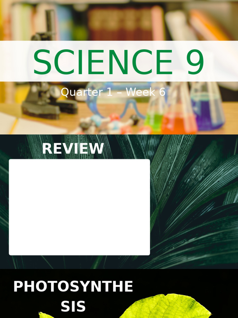 Respiratory System | PDF | Photosynthesis | Leaf