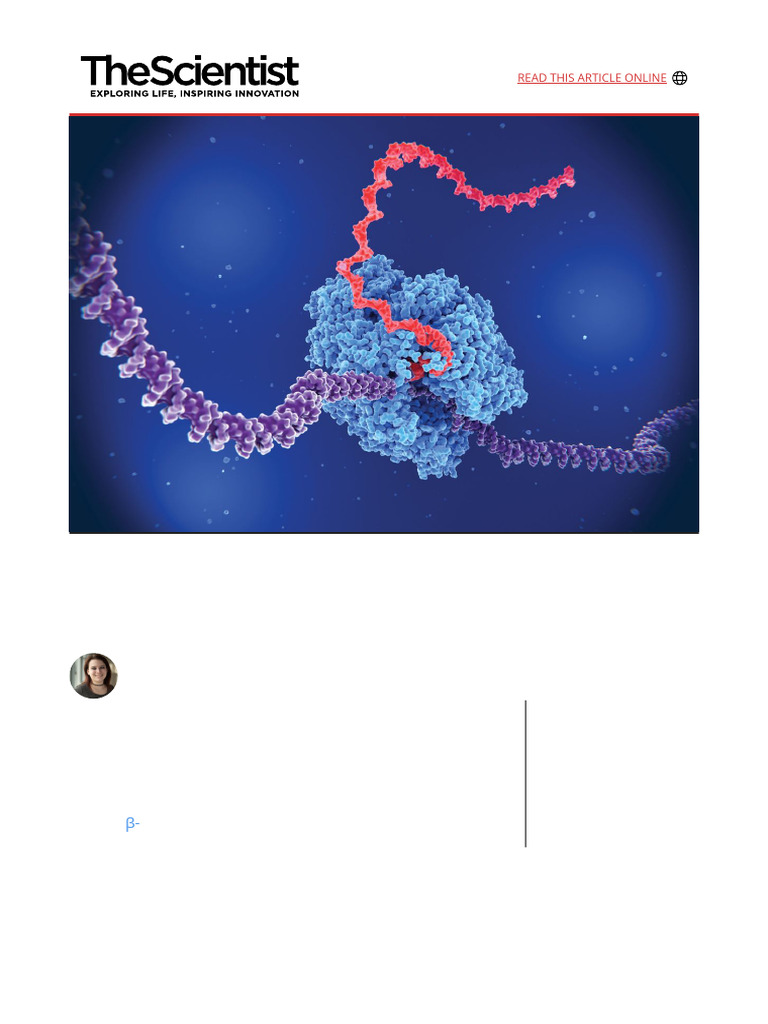 The Lac Operon - A Lesson in Simple Gene Regulation | PDF | Operon ...