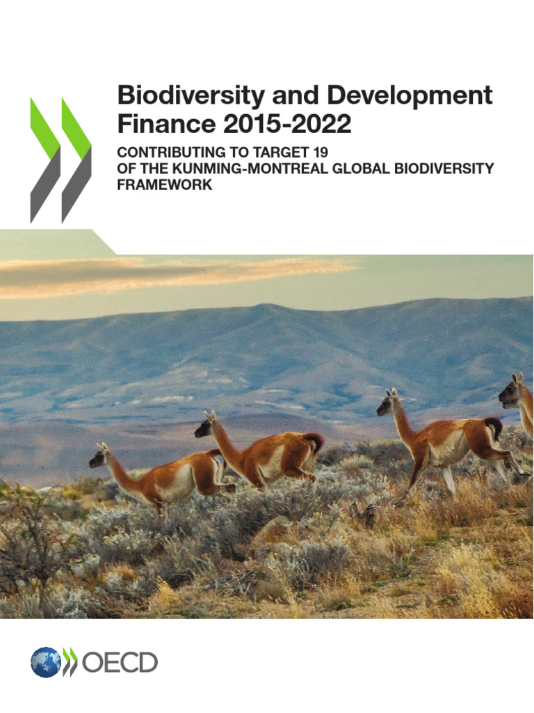 D26526ad en | PDF | Development Assistance Committee | Official ...