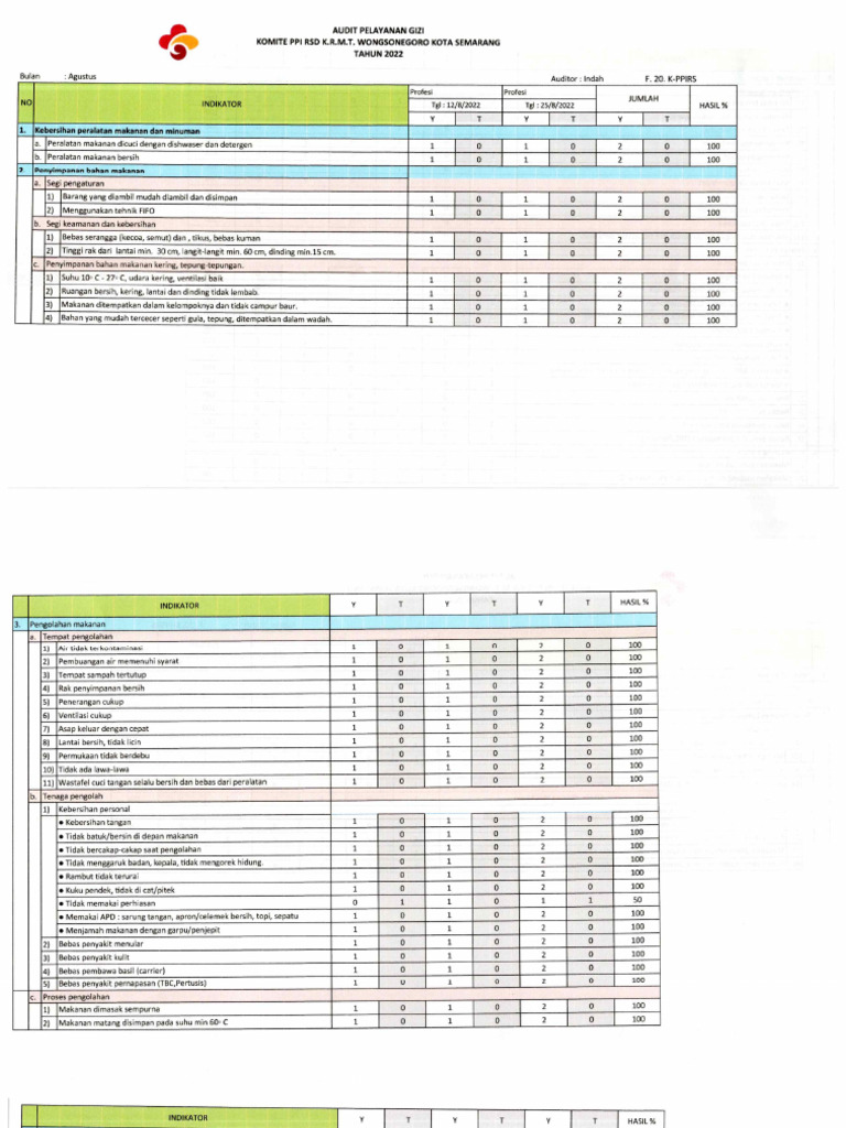Audit Pelayanan Gizi | PDF
