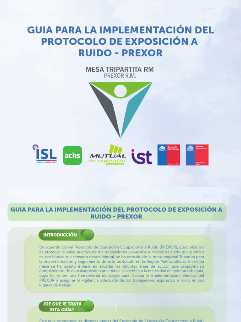 Prexor Final | PDF | ruido | Seguridad y salud ocupacional