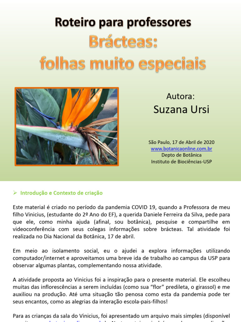 Brácteas - para Professores | PDF | Folha | Botânica